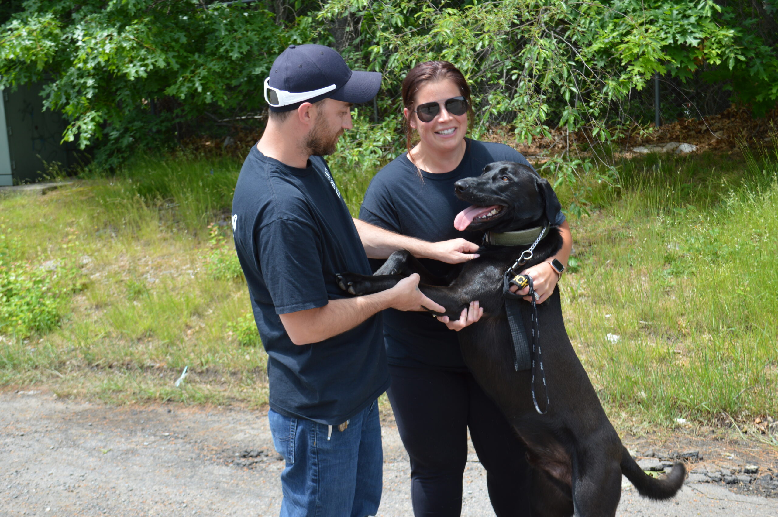 Our Services - All American K9 Academy