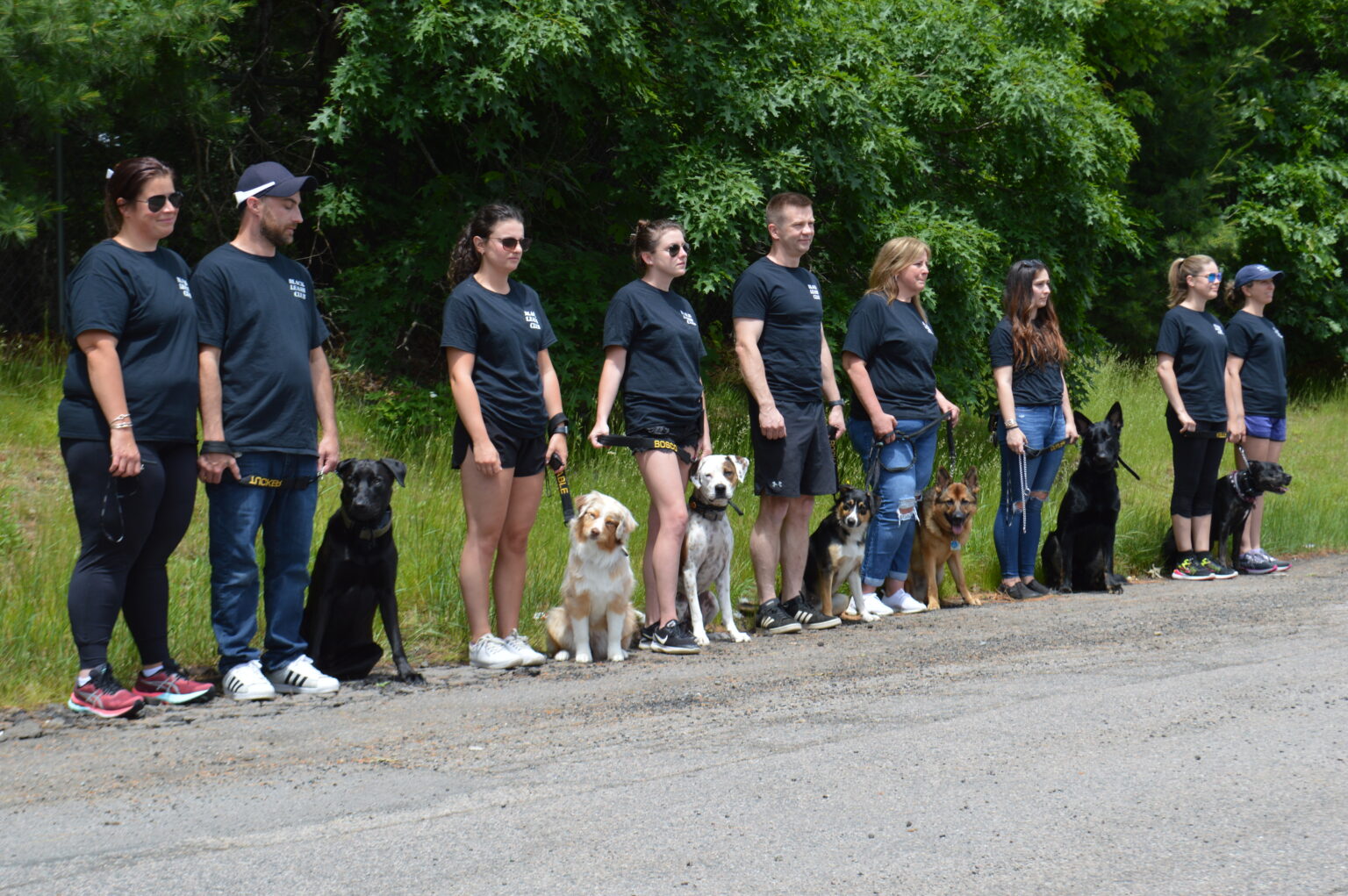 Home Page - All American K9 Academy