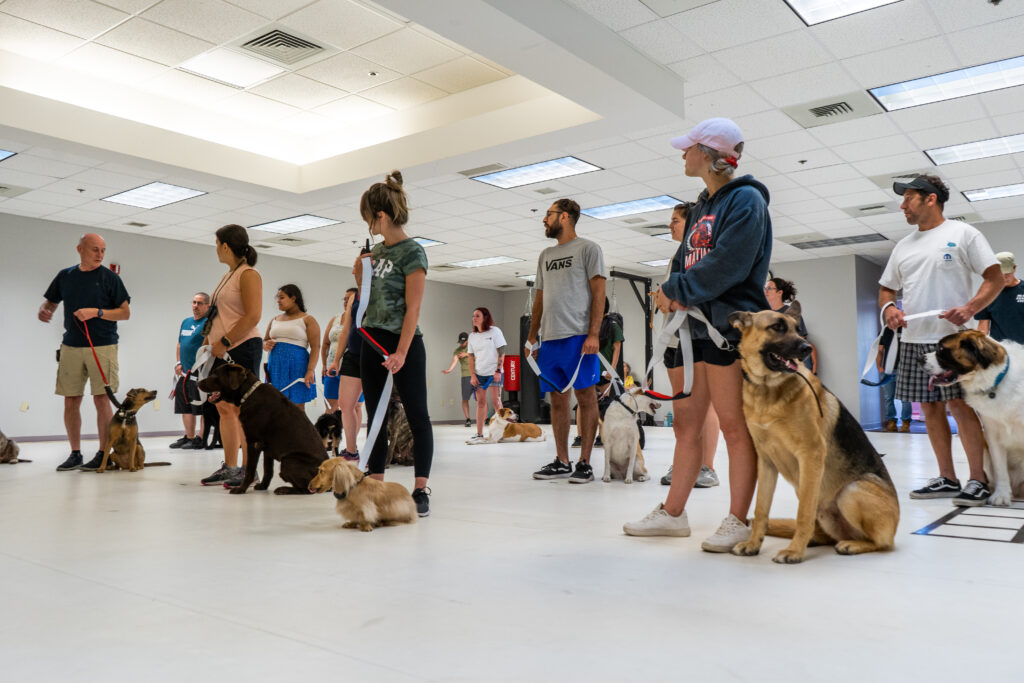 Home Page - All American K9 Academy Inc.